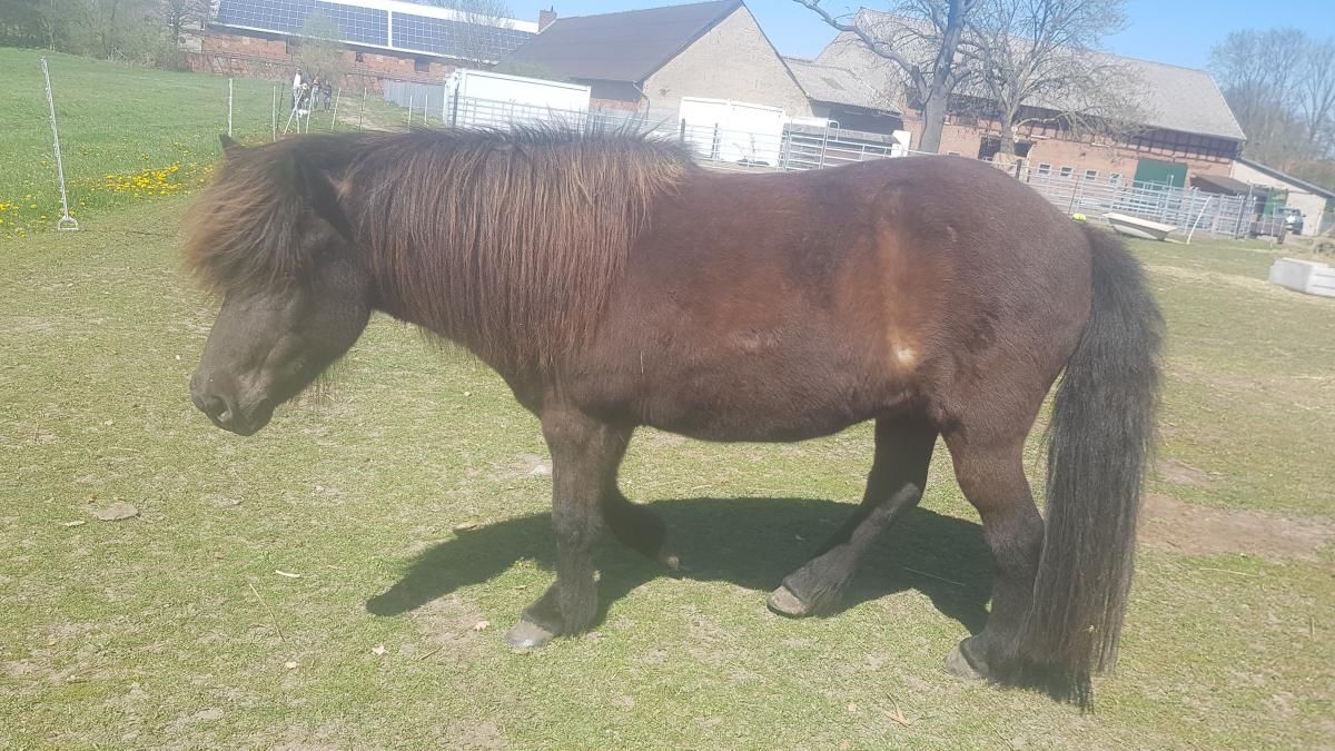 Elena | Allgemeiner Tierhilfsdienst e.V.